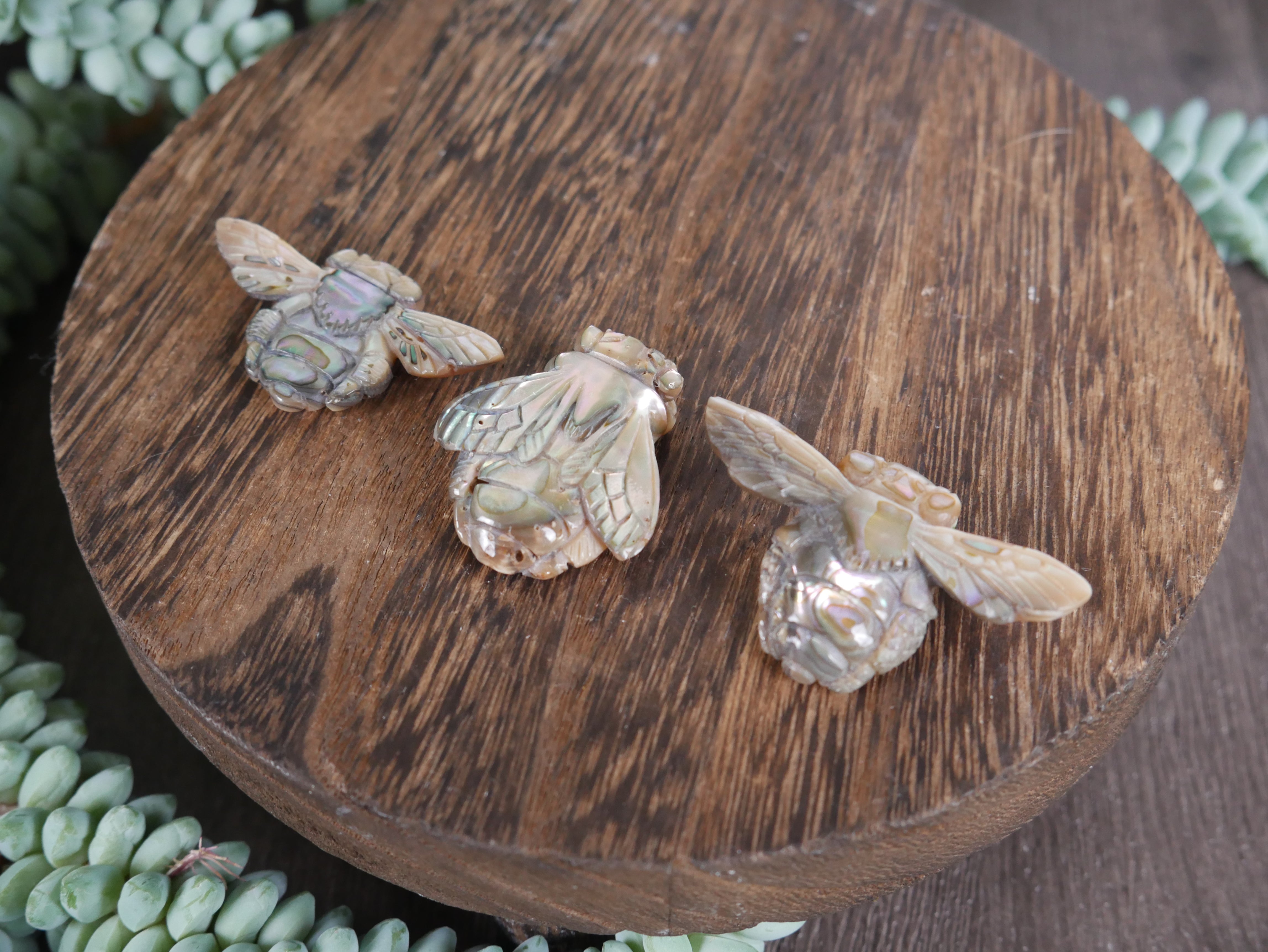 Abalone Shell Bee Carving [various] – Go to Gaia Crystals